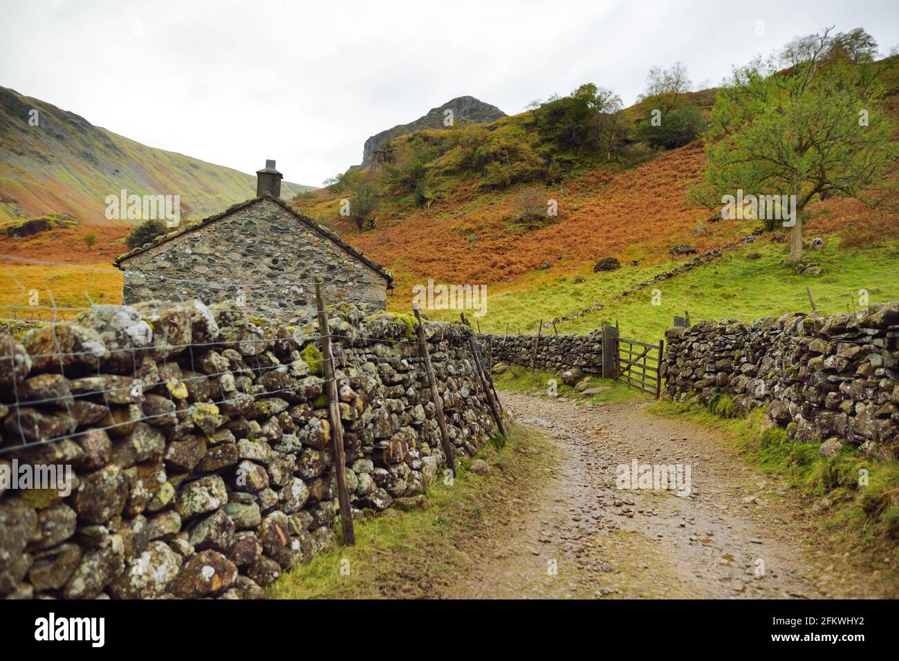 Footpath leading to Stonethwaite Beck, a small river formed at the ...