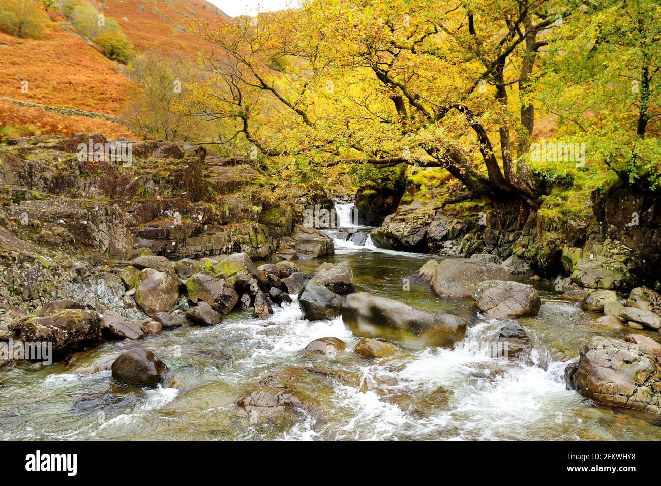 Wild waters of Stonethwaite Beck, a small river formed at the ...