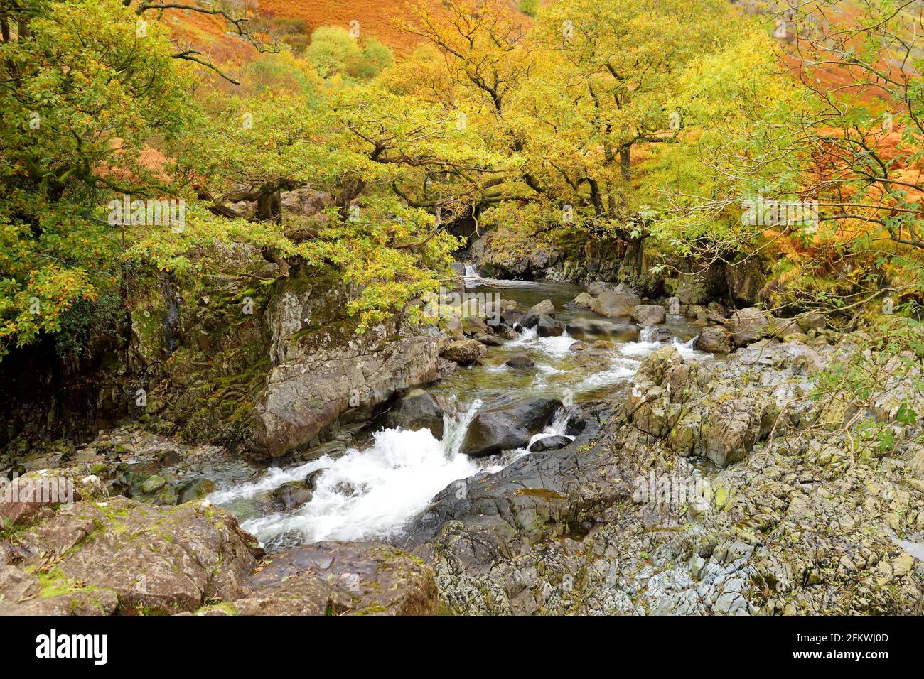 Wild waters of Stonethwaite Beck, a small river formed at the ...