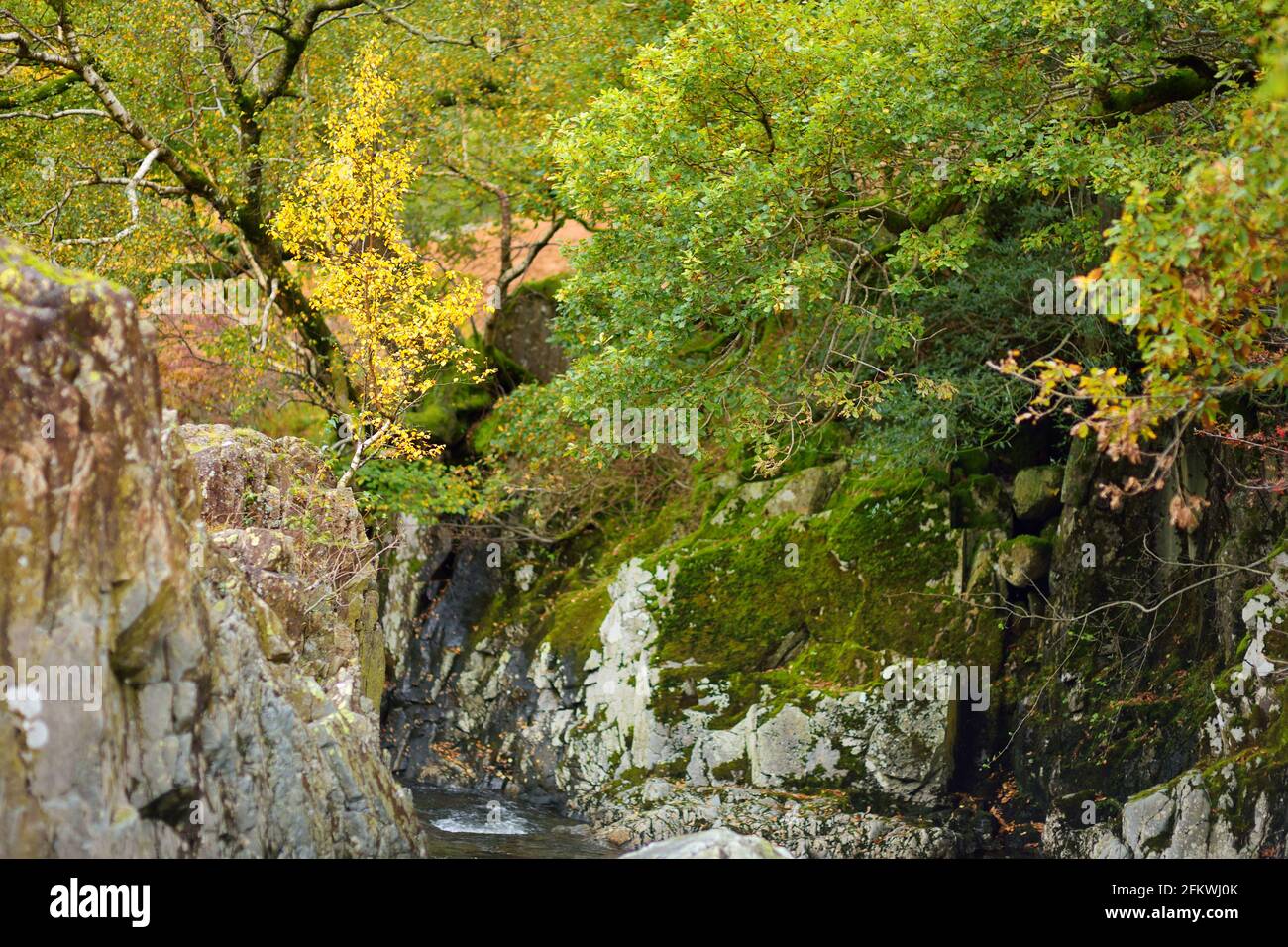Wild waters of Stonethwaite Beck, a small river formed at the ...