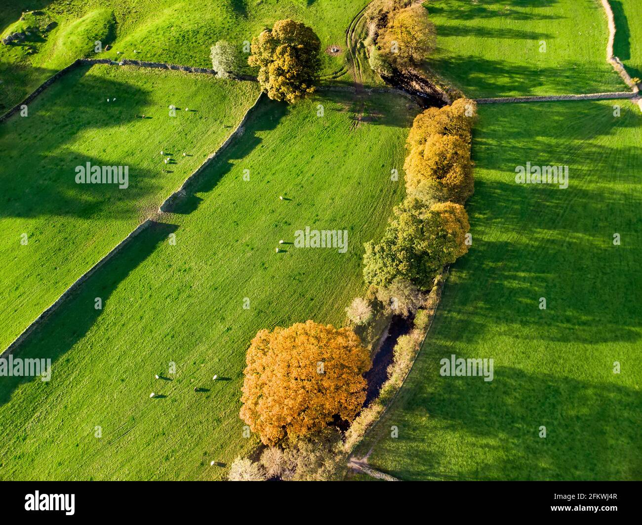 Aerial view of endless lush pastures and farmlands of England ...