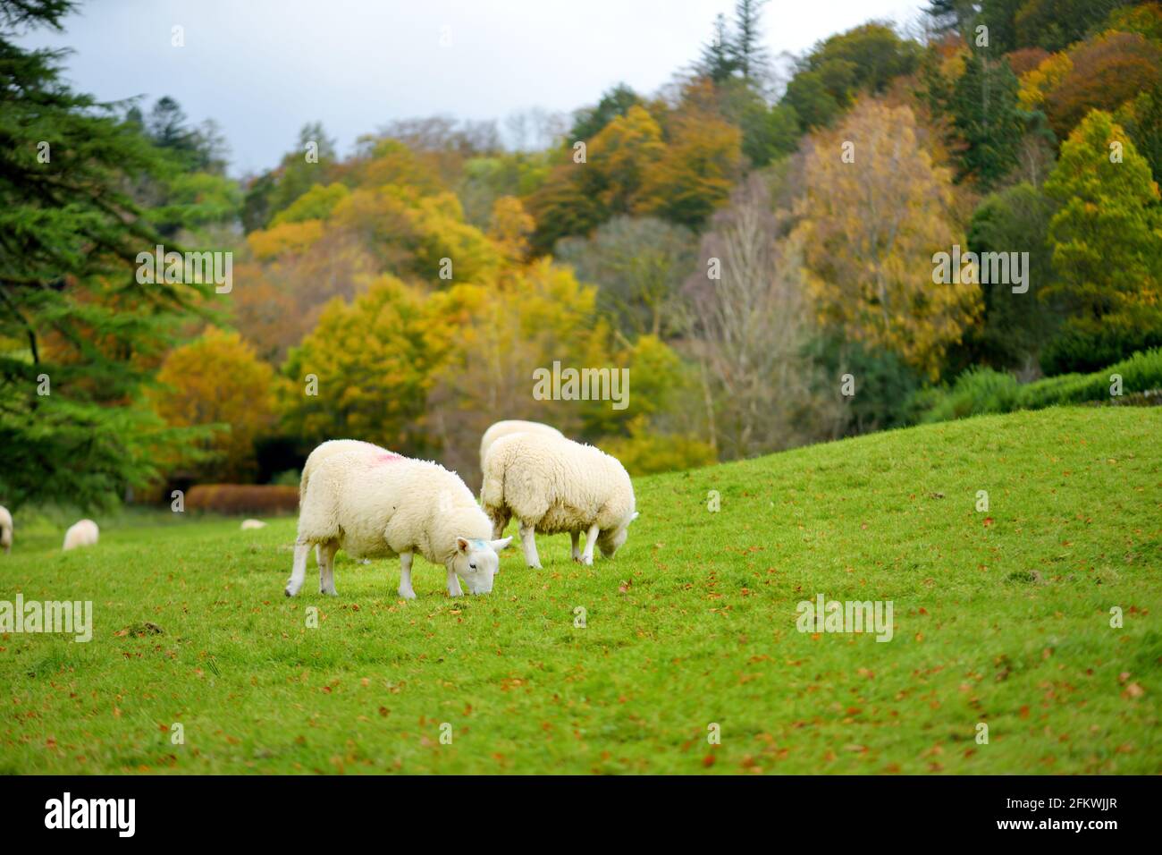 On the dye mountain hi-res stock photography and images - Alamy