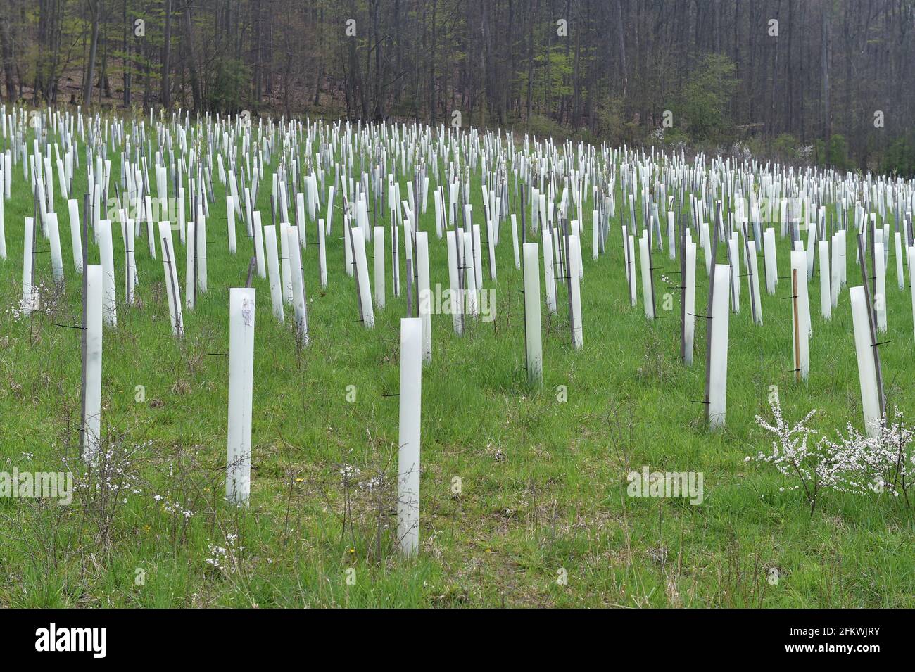 Protective covers trees hi-res stock photography and images - Alamy