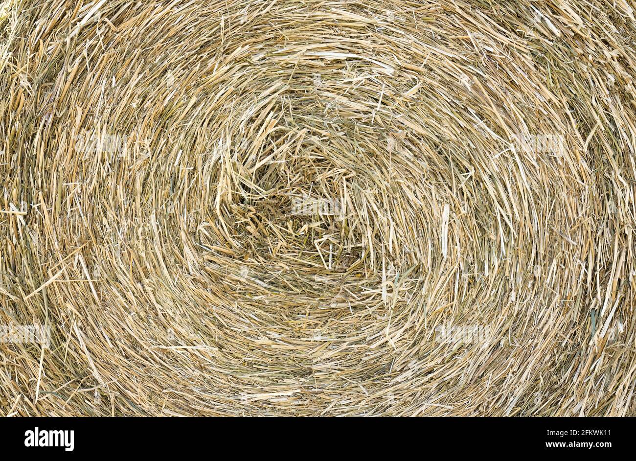Texture of hay stack, closeup natural background Stock Photo - Alamy