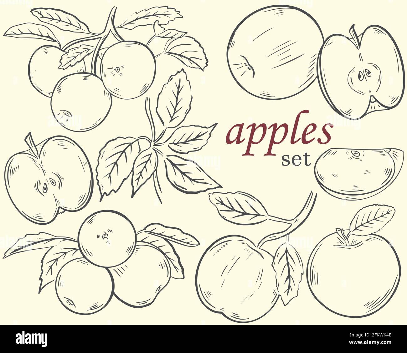 Set of apples, sketch. Vector. Hand drawing Stock Vector Image & Art ...