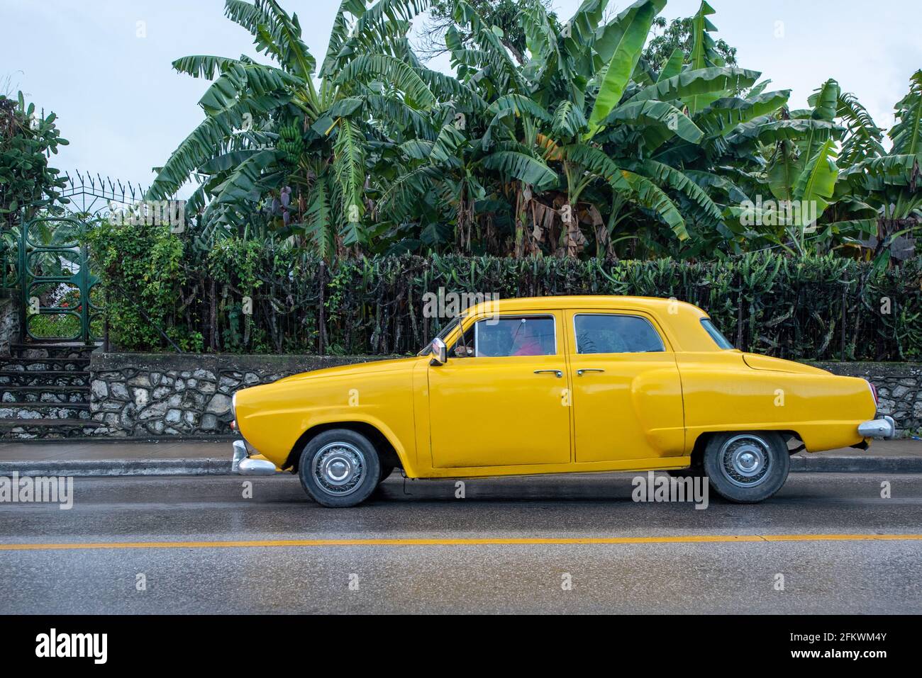 Cuban vintage American cars driving, Cuba transportation scene in the ...