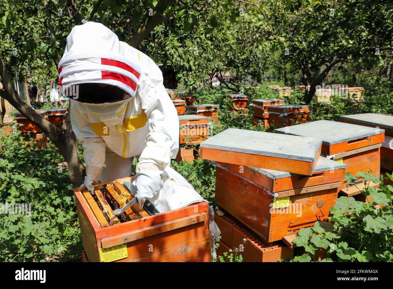 Beekeeper Costume High Resolution Stock Photography and Images - Alamy
