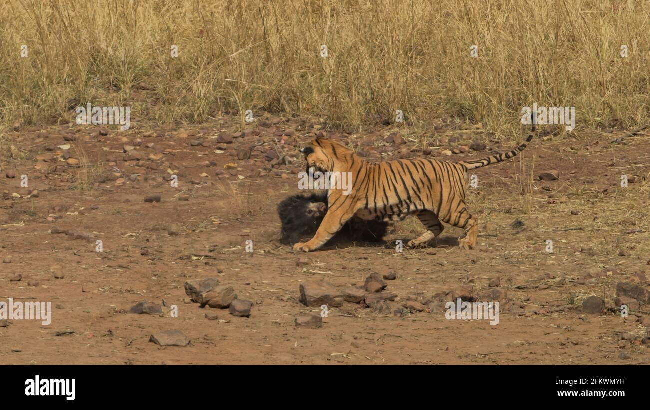 Momentarily hi-res stock photography and images - Alamy