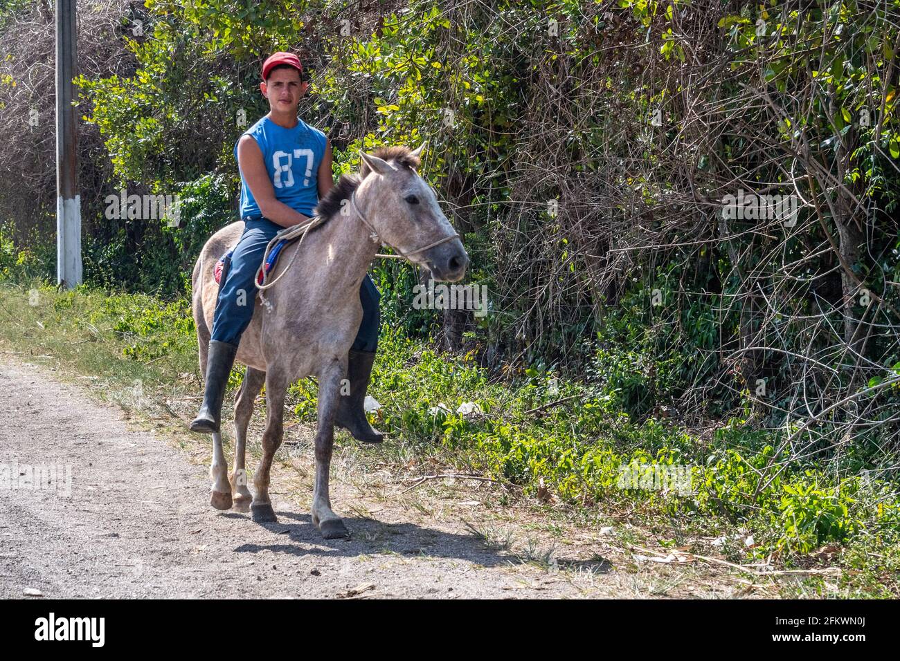 Young Cuban man riding a horse in a rural area Stock Photo - Alamy