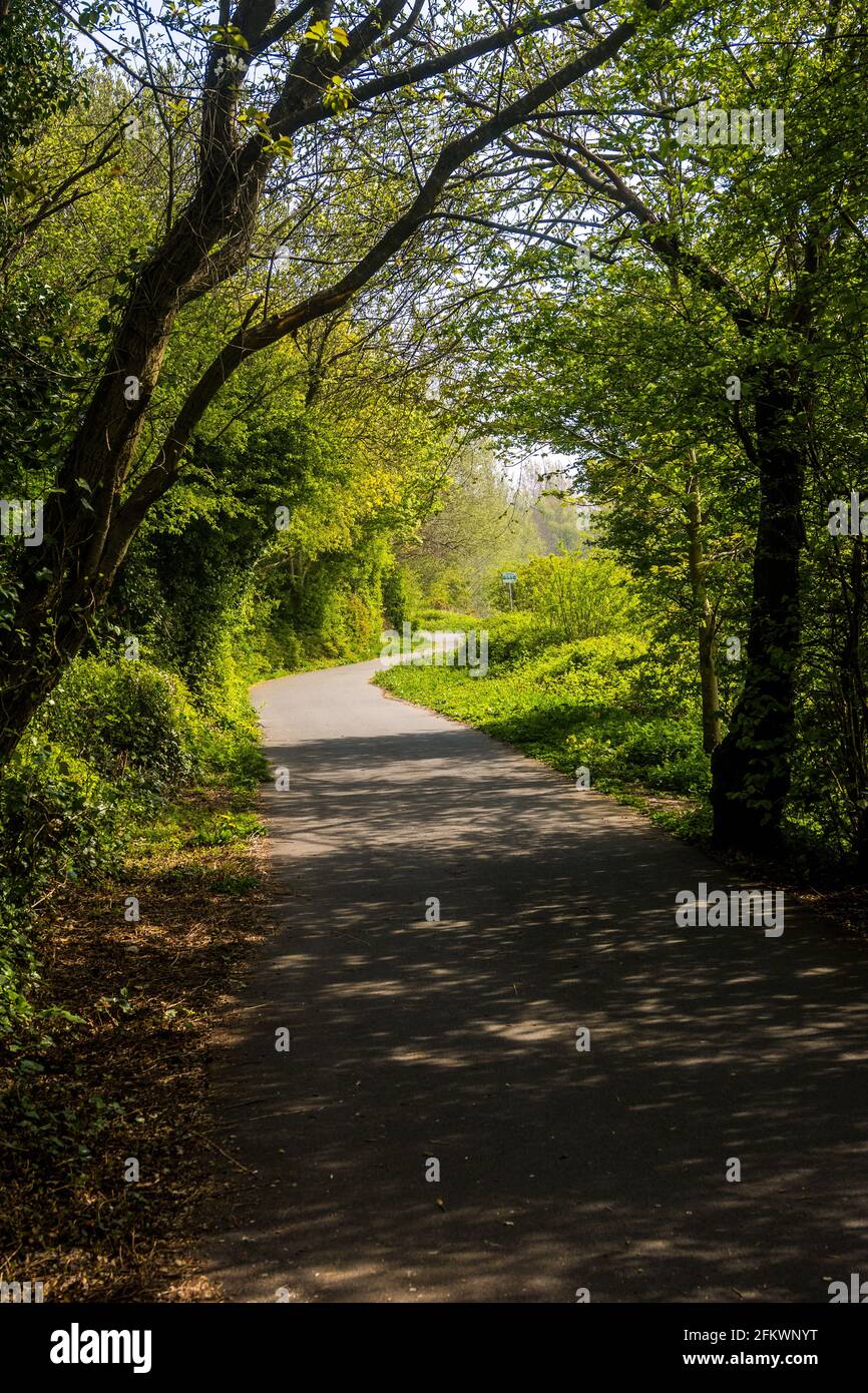Guild wheel hi-res stock photography and images - Alamy