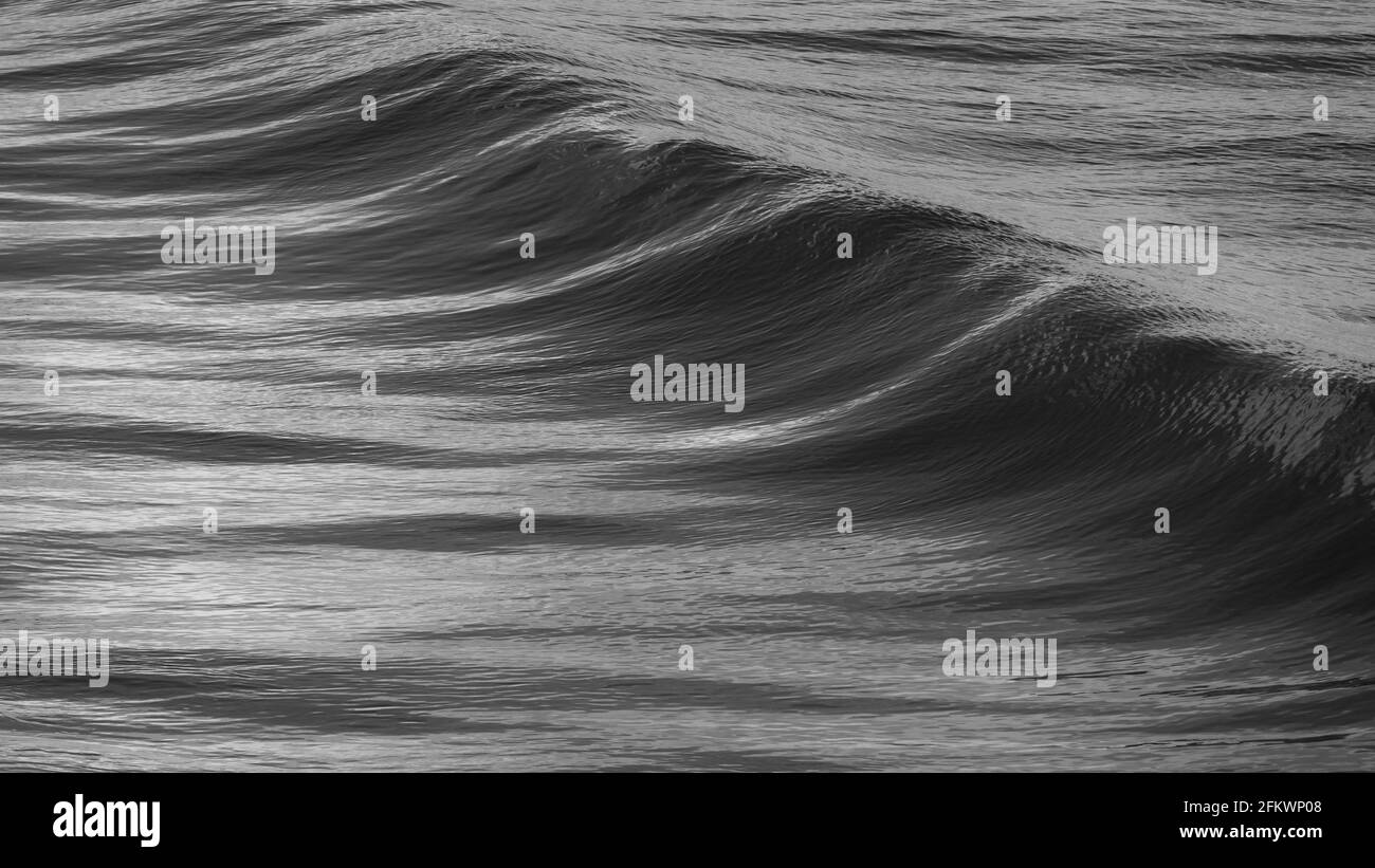 Black power movement hi-res stock photography and images - Alamy