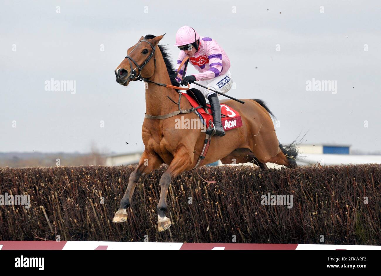 Ruby walsh hi-res stock photography and images - Alamy