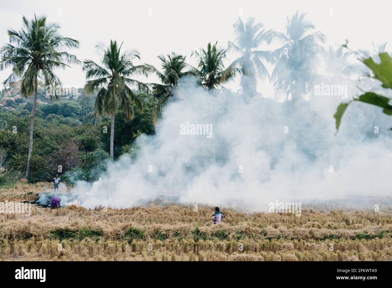 Slash burn farming fire hi-res stock photography and images - Alamy
