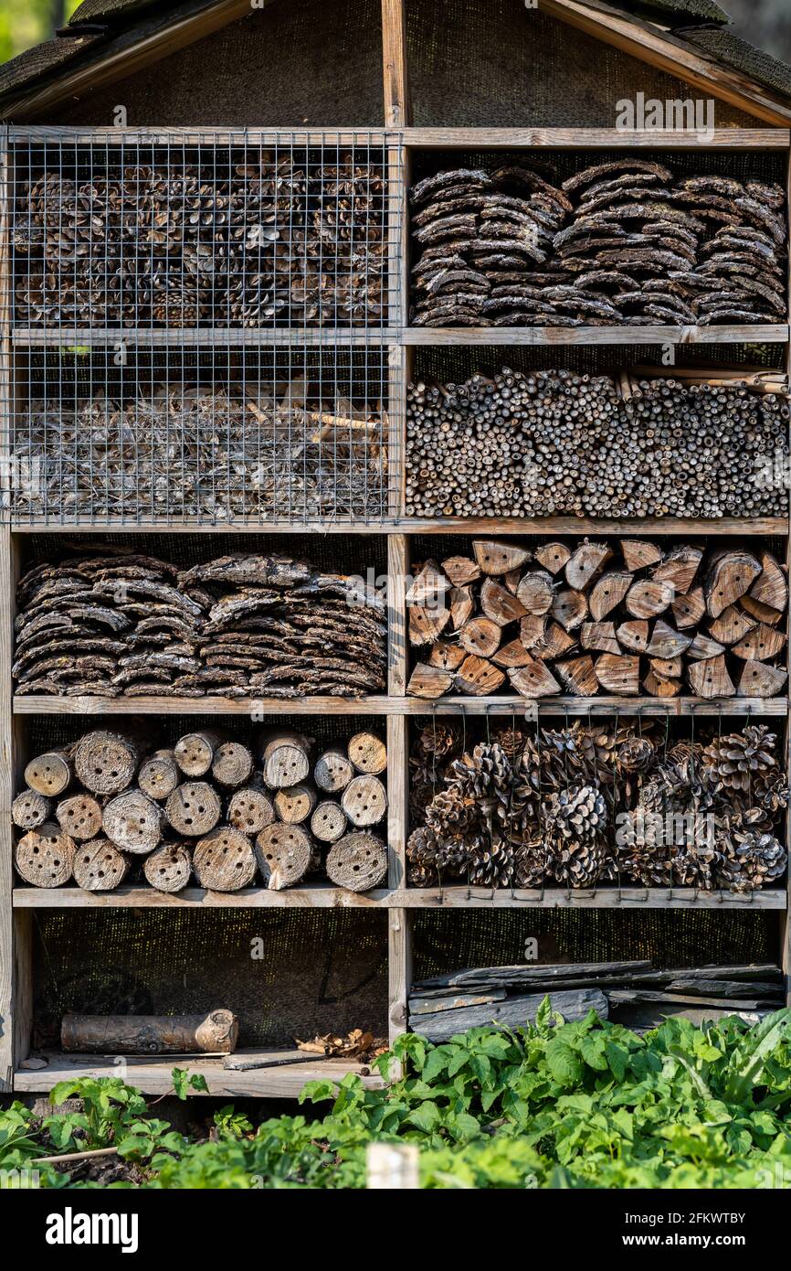 hotel for insects in the forest on the meadow Stock Photo - Alamy