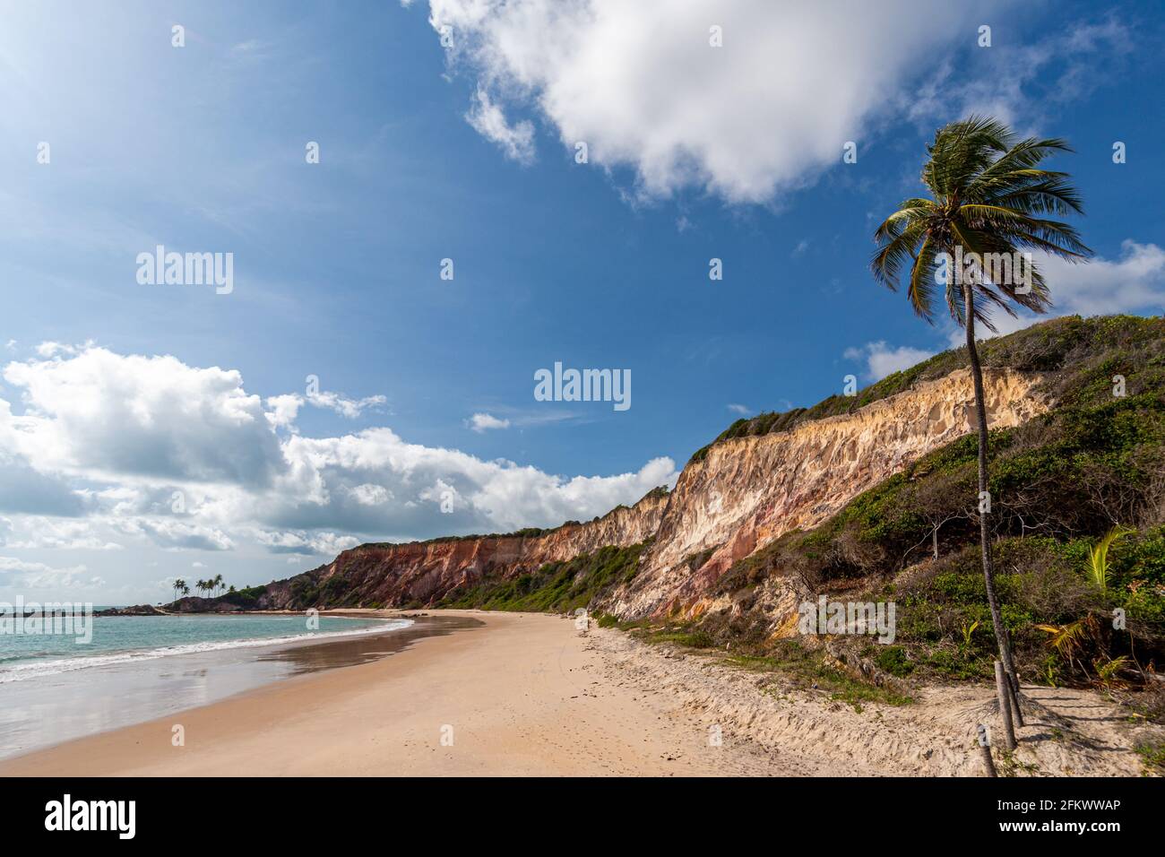 Tabatinga hi-res stock photography and images - Alamy
