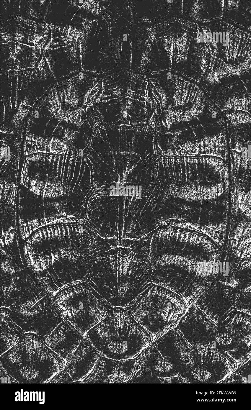 Old Turtle Vector High Resolution Stock Photography and Images - Alamy