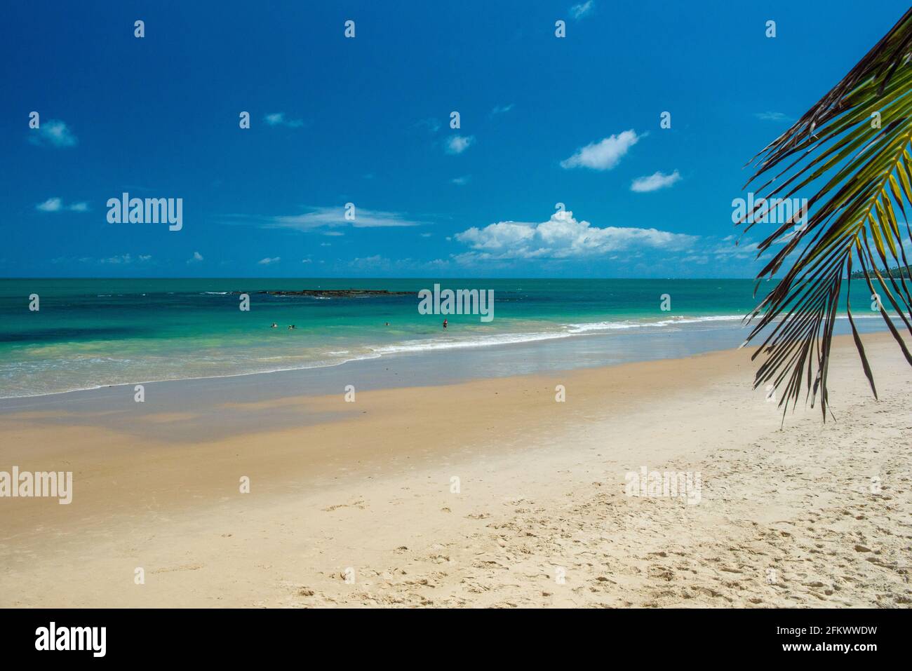 Carapibus beach, near Joao Pessoa, Conde, Paraiba, Brazil on December ...