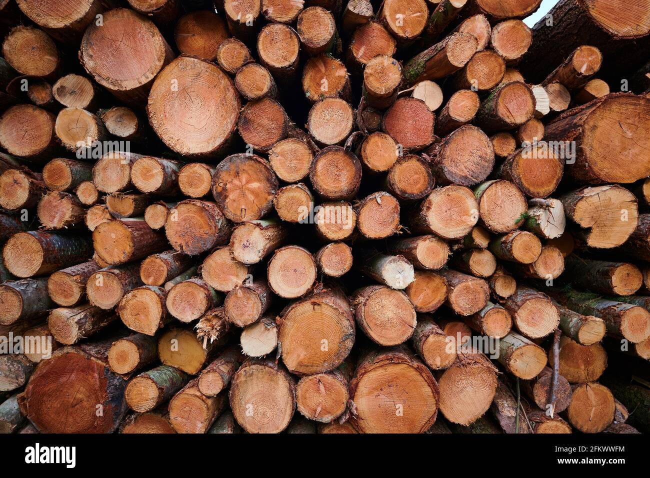 Circle patterns pattern hi-res stock photography and images - Alamy