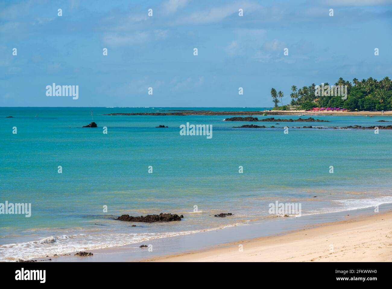 Carapibus hi-res stock photography and images - Alamy