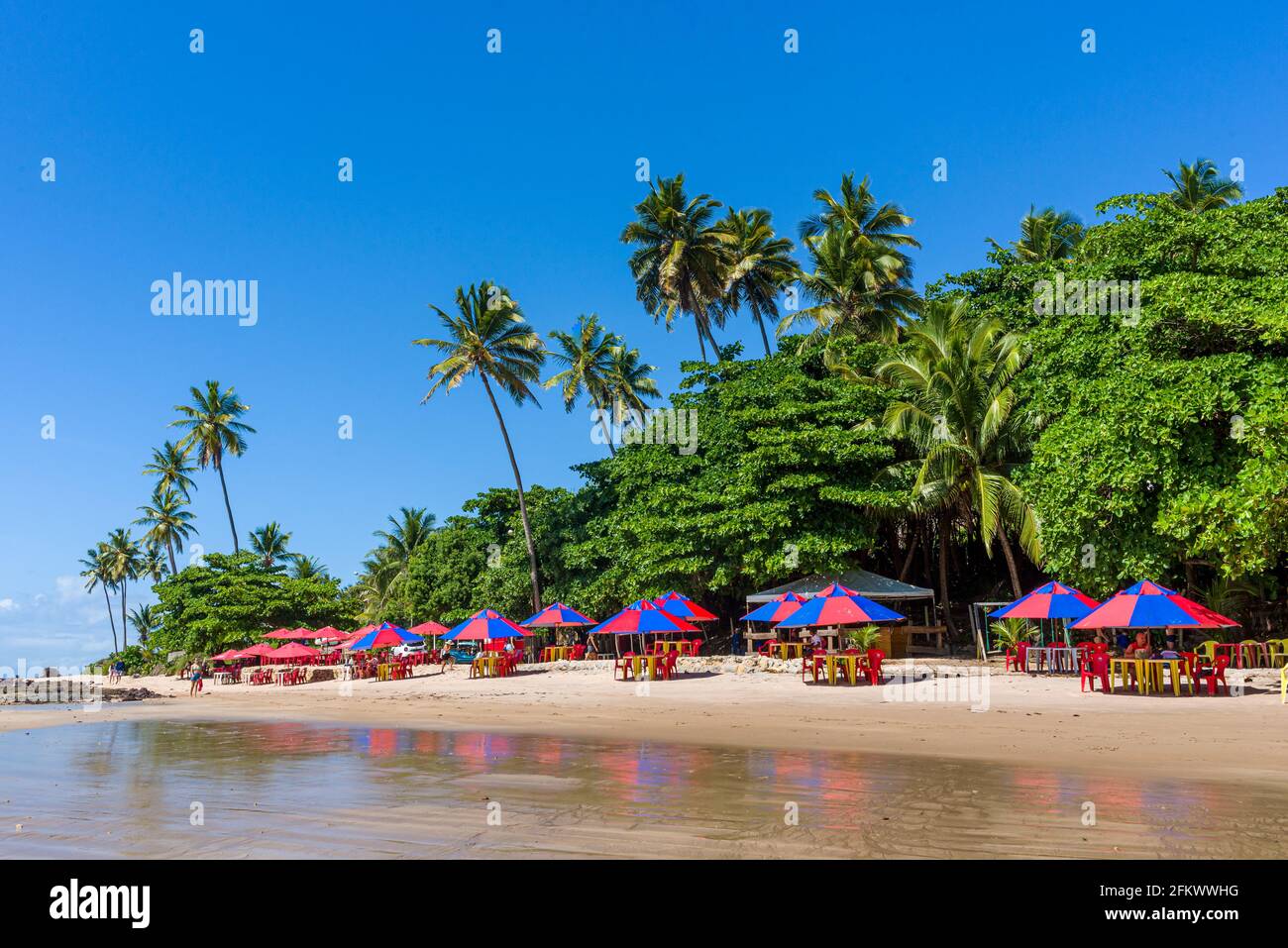 Red and blue parasols and native vegetation at Carapibus beach, Conde ...