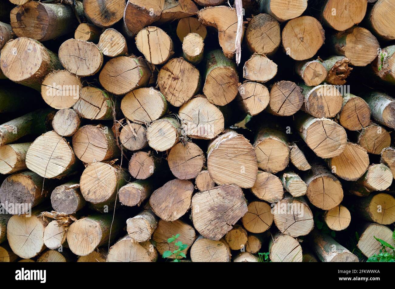 Timber circle hi-res stock photography and images - Alamy