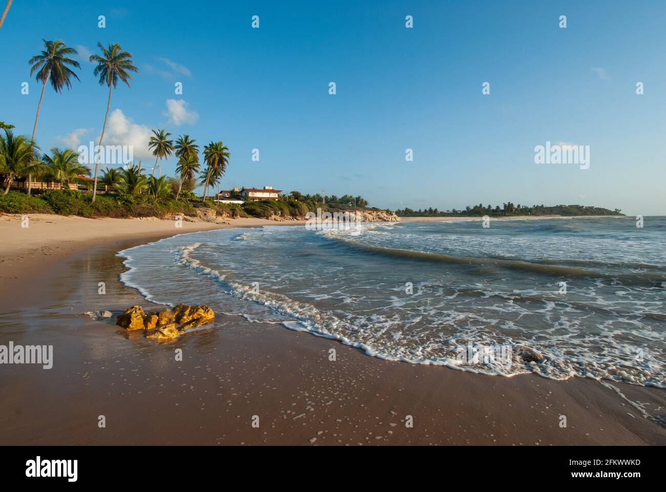 Sea with emerald water, cliffs and coconut trees in Tabatinga beach ...