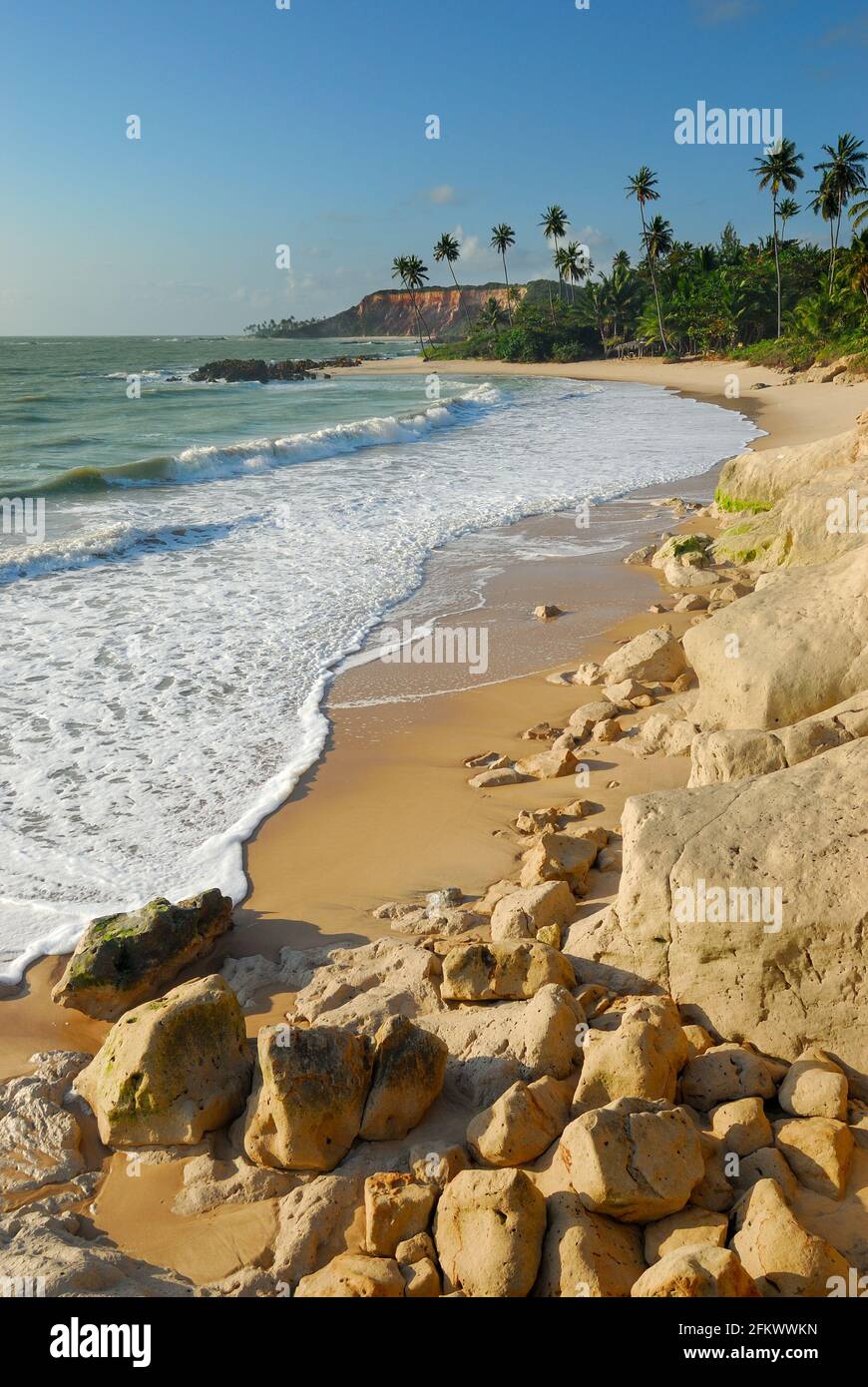 Sea with emerald water, cliffs and coconut trees in Tabatinga beach ...