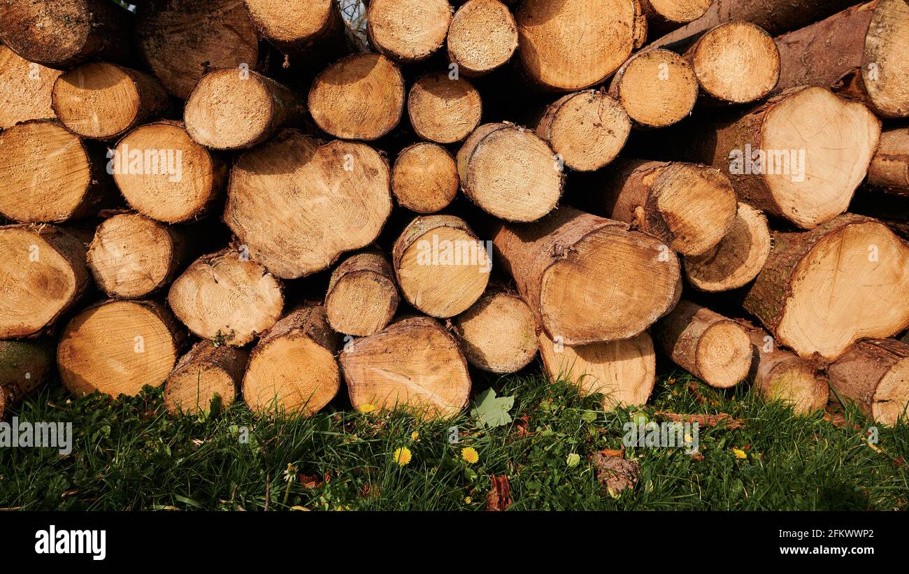 Timber circle hi-res stock photography and images - Alamy