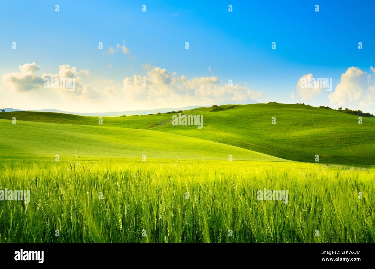 Rural landscape spring hi-res stock photography and images - Alamy