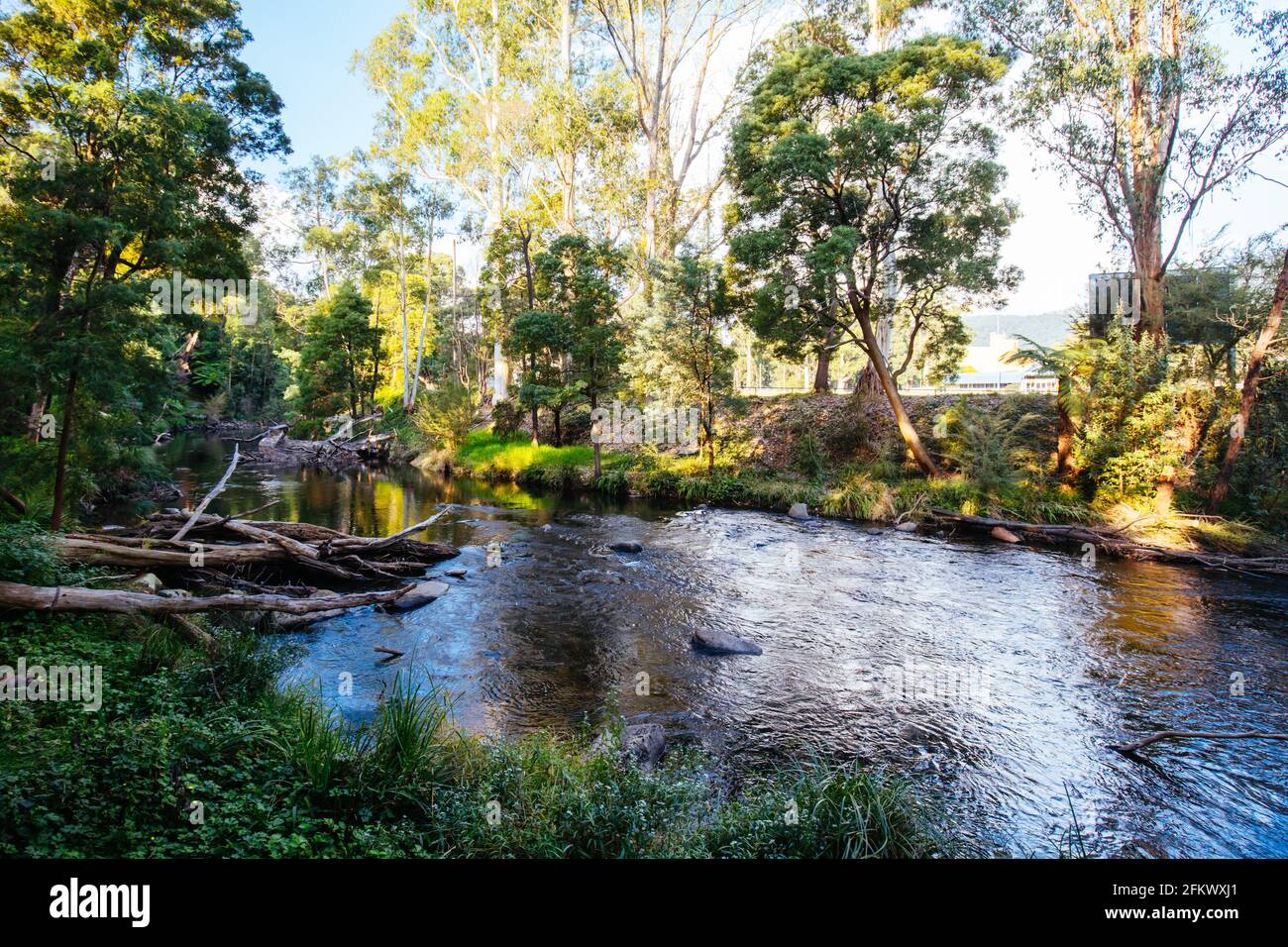 Yarra River View in Warburton Australia Stock Photo - Alamy
