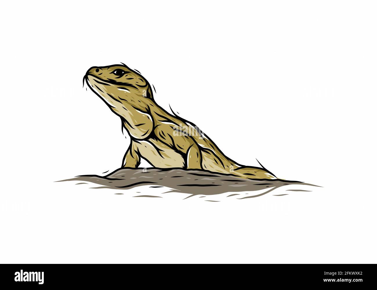 Brown illustration lizard line art drawing design Stock Vector Image ...