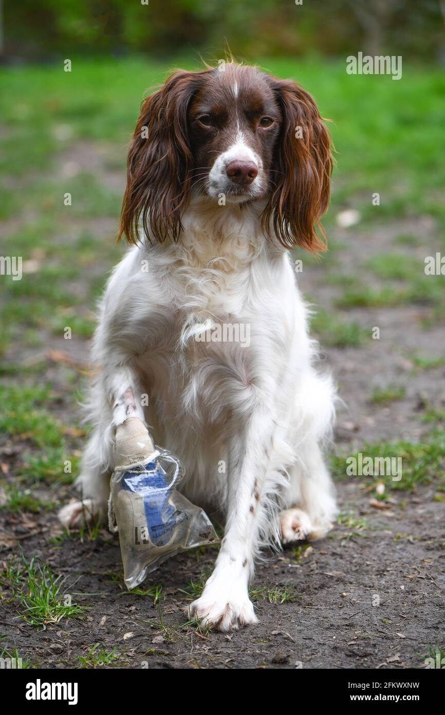 Keep dry hi-res stock photography and images - Alamy