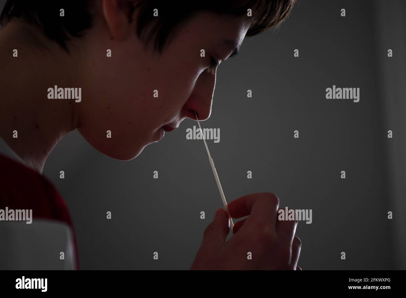 Young teenage boy carries out a nose swap covid-19 lateral flow test ...