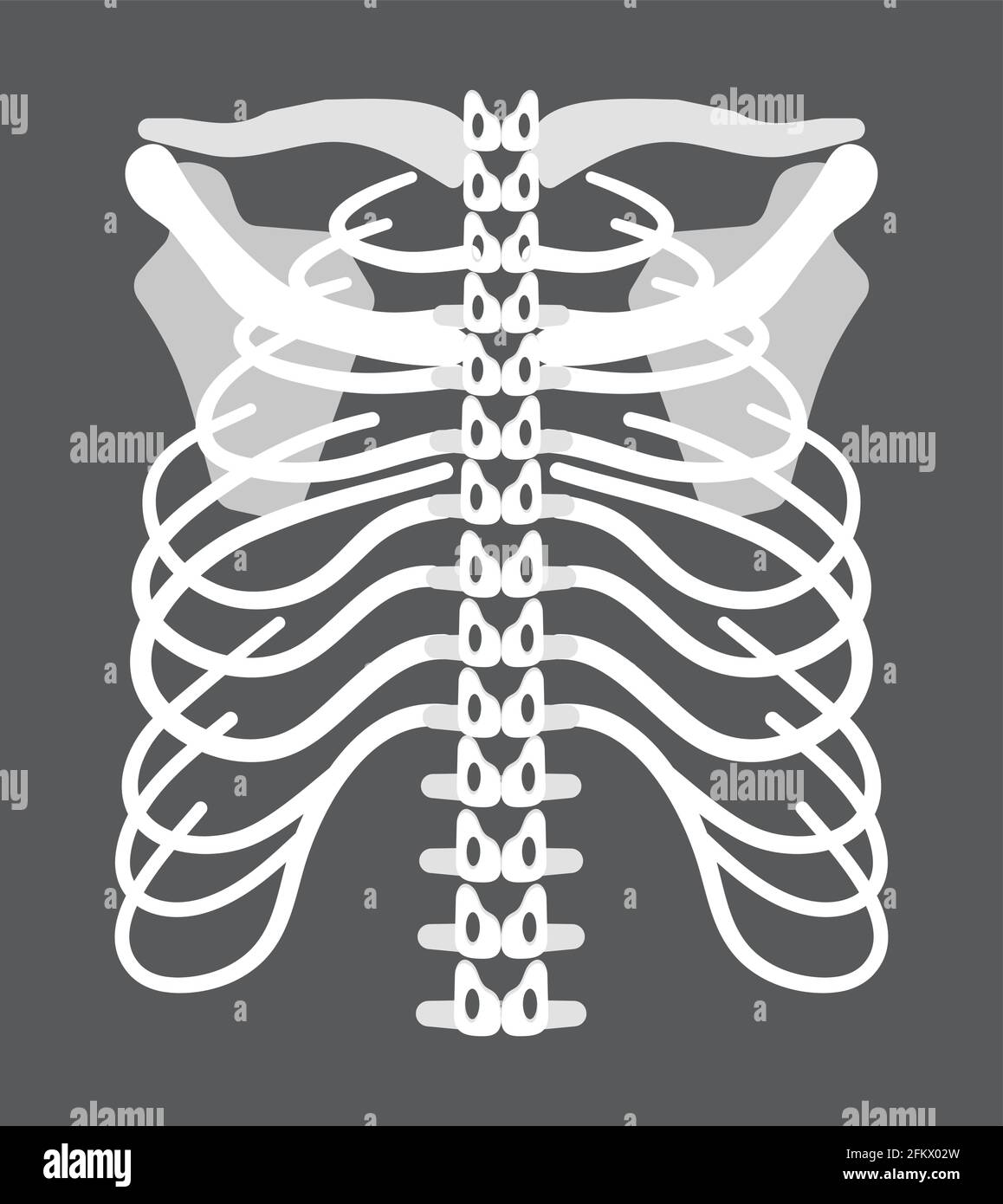 Skeleton icon of radiography and x-ray concept vector for landing page ...