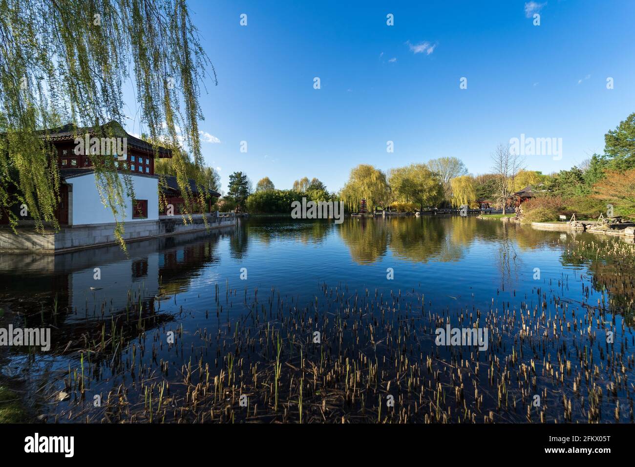Chinese pagoda near the lake. Spring landscape Stock Photo - Alamy