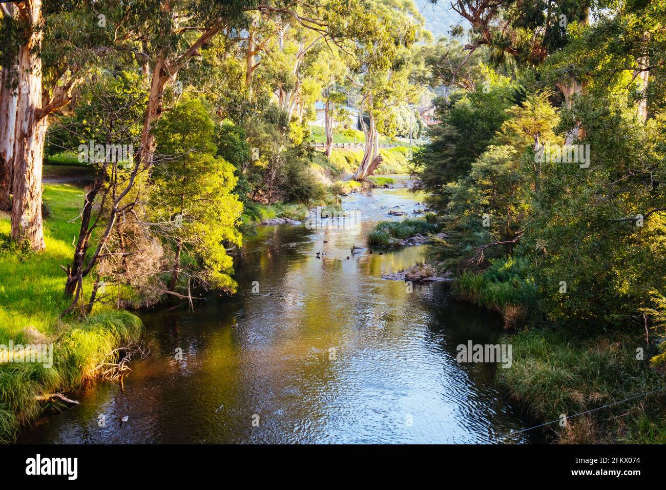 Yarra river warburton hi-res stock photography and images - Alamy