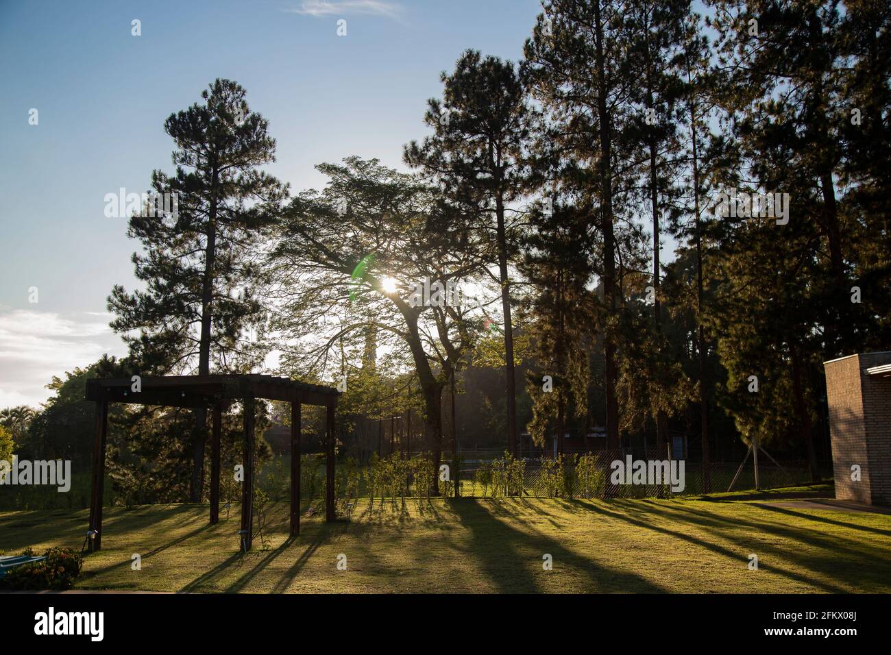 Landscape with blue sky and beautiful green field Stock Photo - Alamy