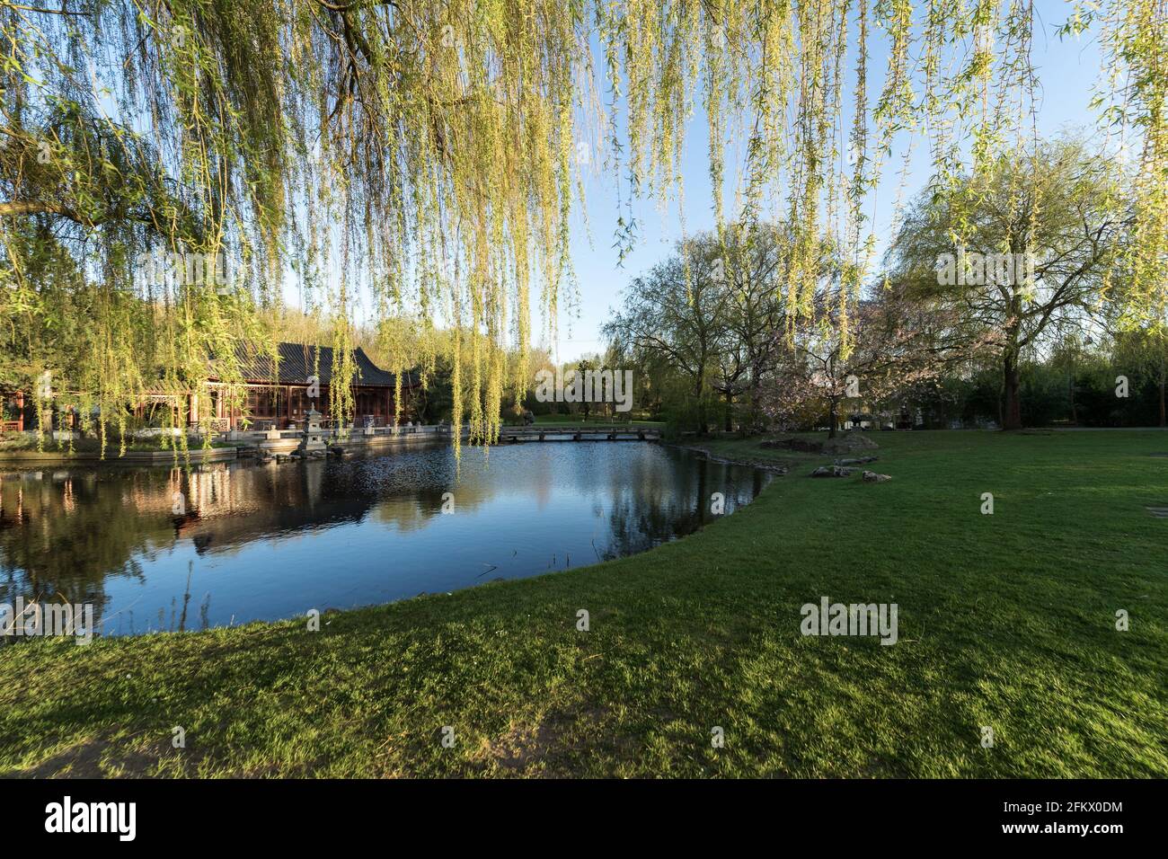 Chinese pagoda near the lake. Spring landscape Stock Photo - Alamy