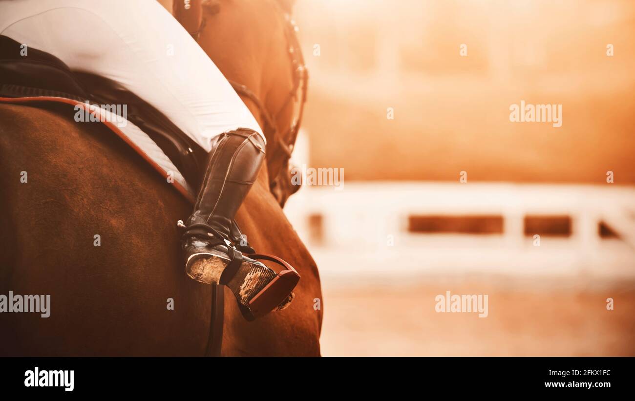 Rear view horse rider hi-res stock photography and images - Alamy