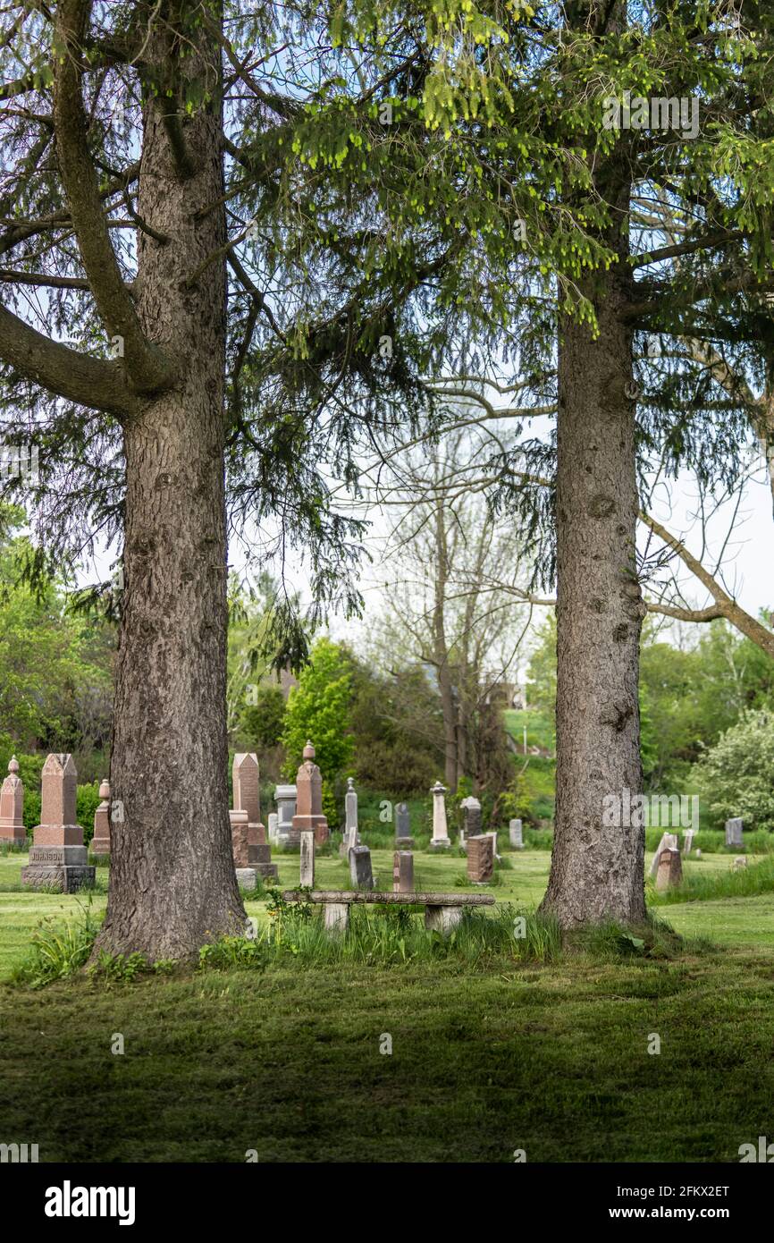 Two big trees at an old cemetery in rural Ontario Stock Photo - Alamy