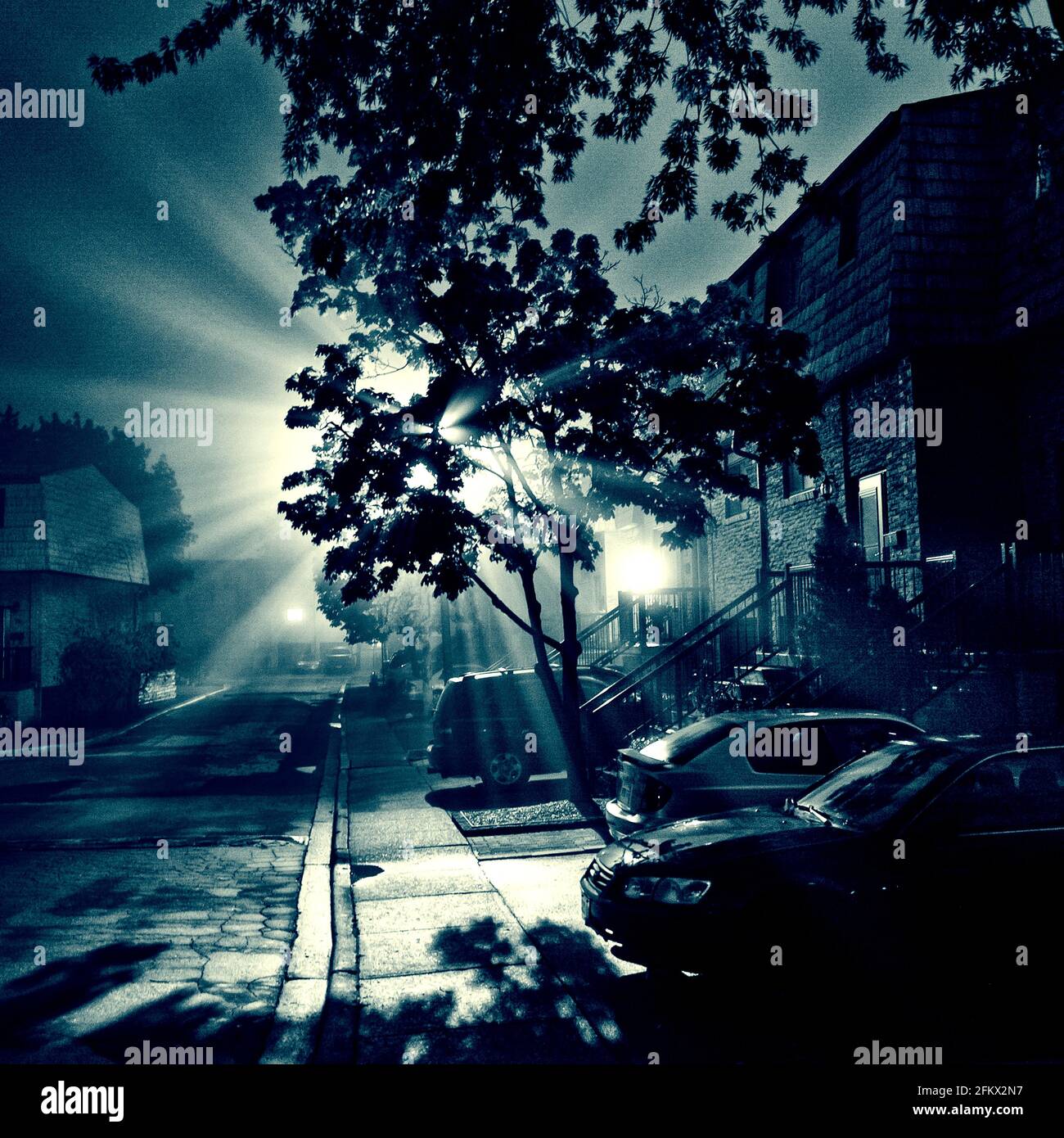 Driveway of row townhouses lit at night in the fog Stock Photo - Alamy