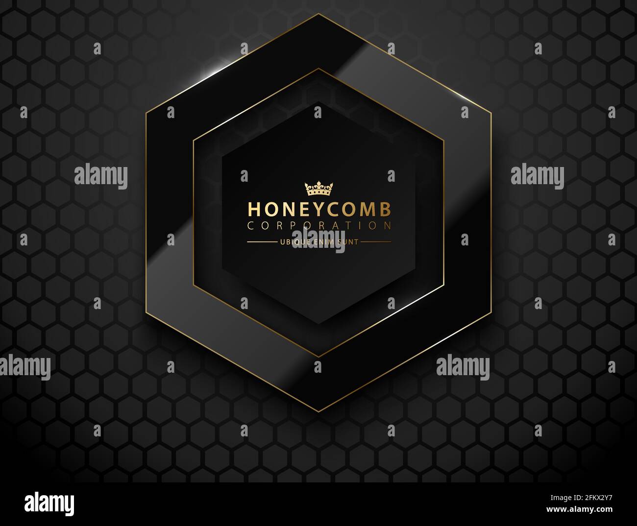 Vector black hexagon. Glossy luxury dark and golden line frame ...