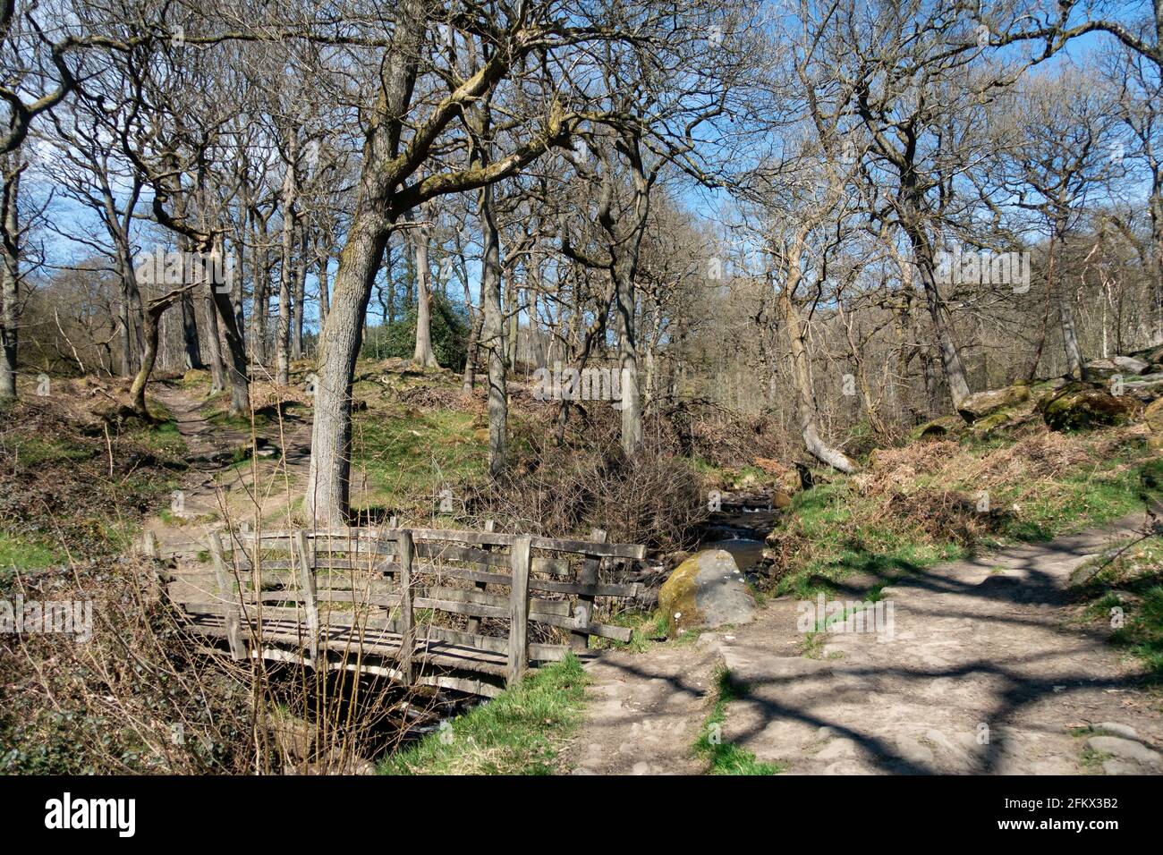 Woodland bridle path near Hathersage, Peak District Stock Photo - Alamy