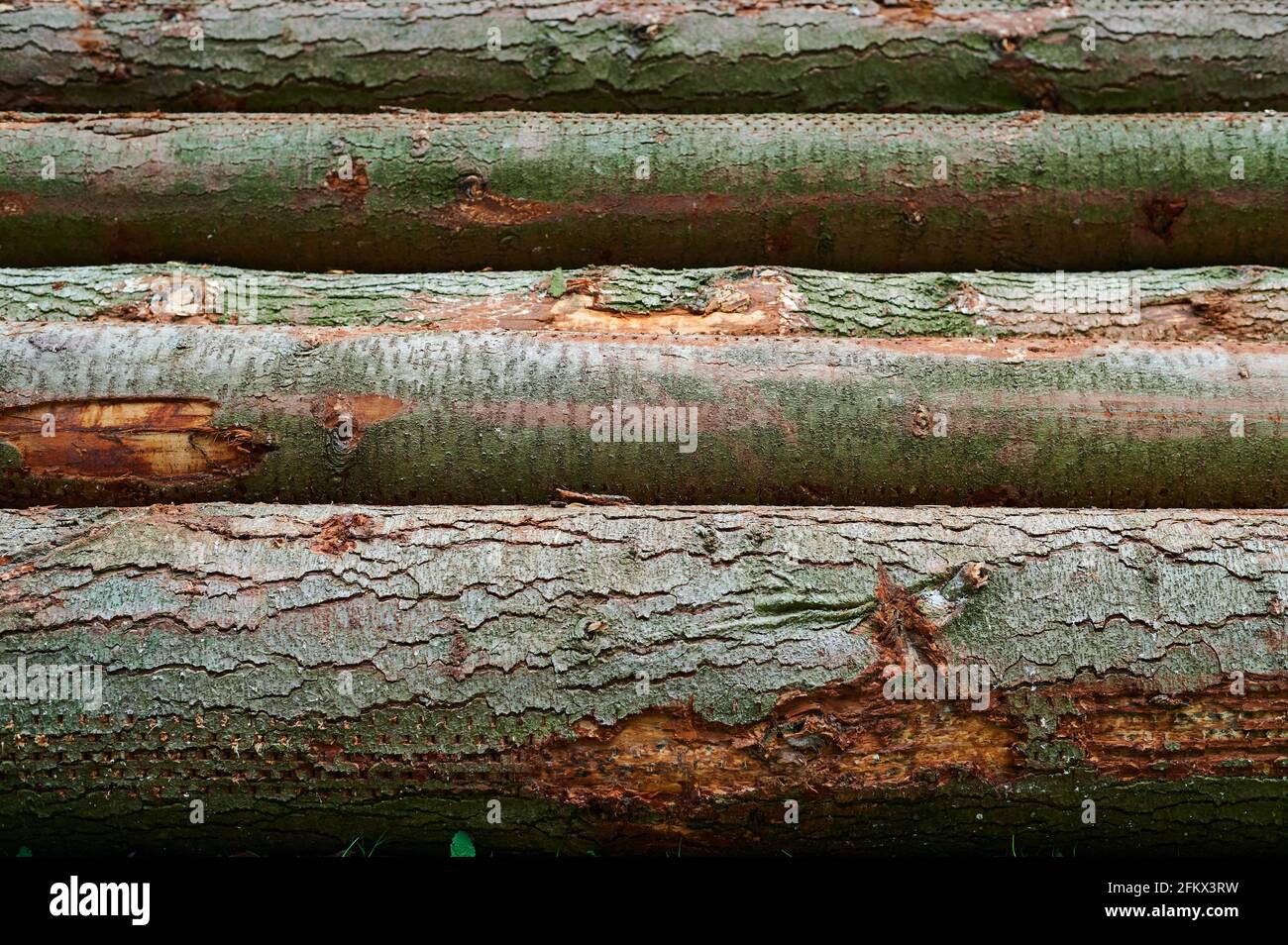 Pile of chopped down logs lying horizontal lengthwise Stock Photo - Alamy