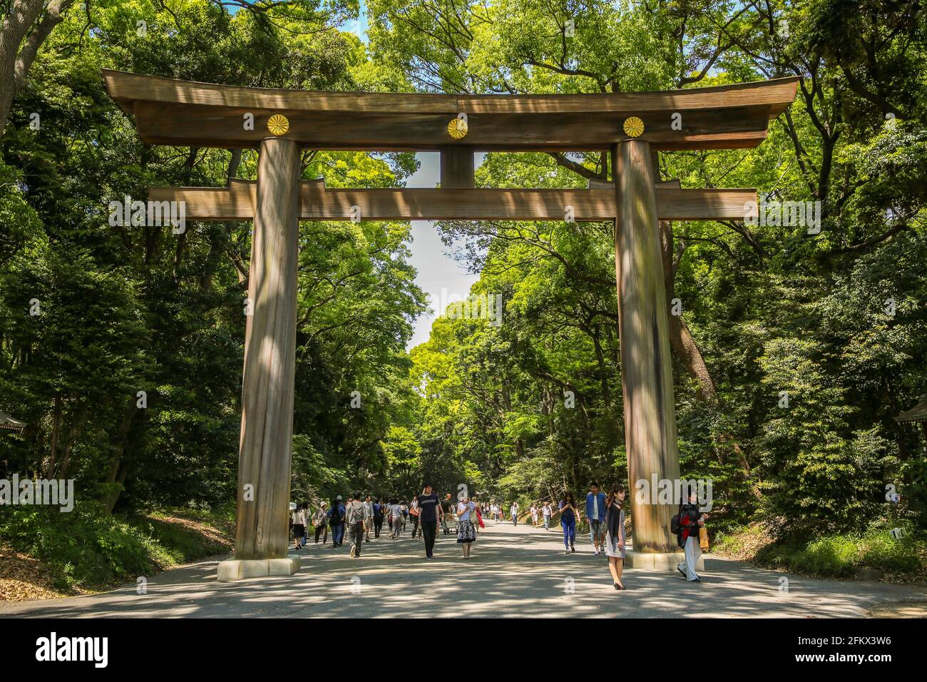 Giant wooden Torii gate entrance to Meiji Shinto Shrine. Japanese park ...