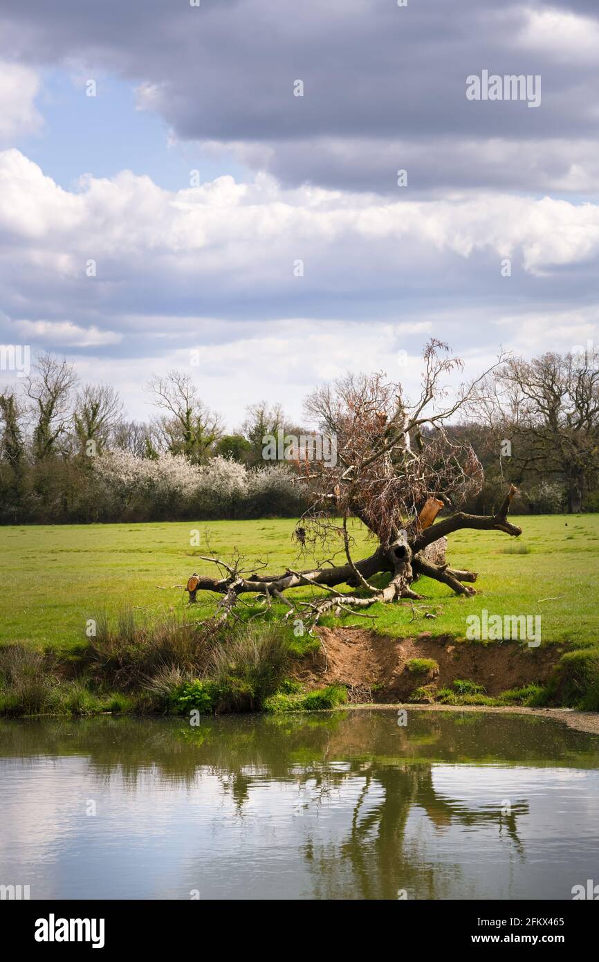 Barcombe mills sussex uk hi-res stock photography and images - Alamy