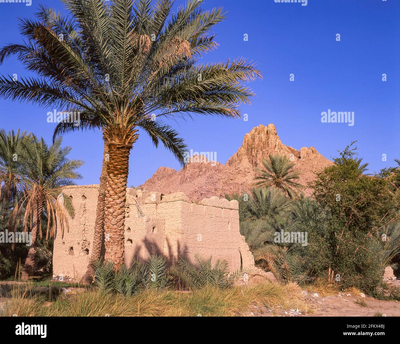 Nizwa Fort ruins, Nizwa, Ad Dakhiliyah Region, Sultanate of Oman Stock ...