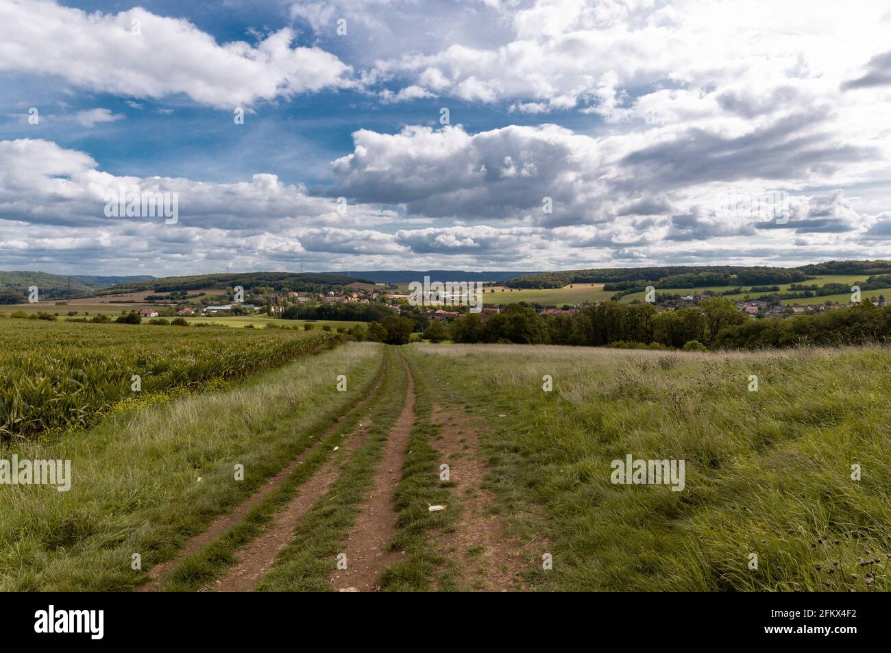 Shot of wheel ruts on a rural road Stock Photo - Alamy