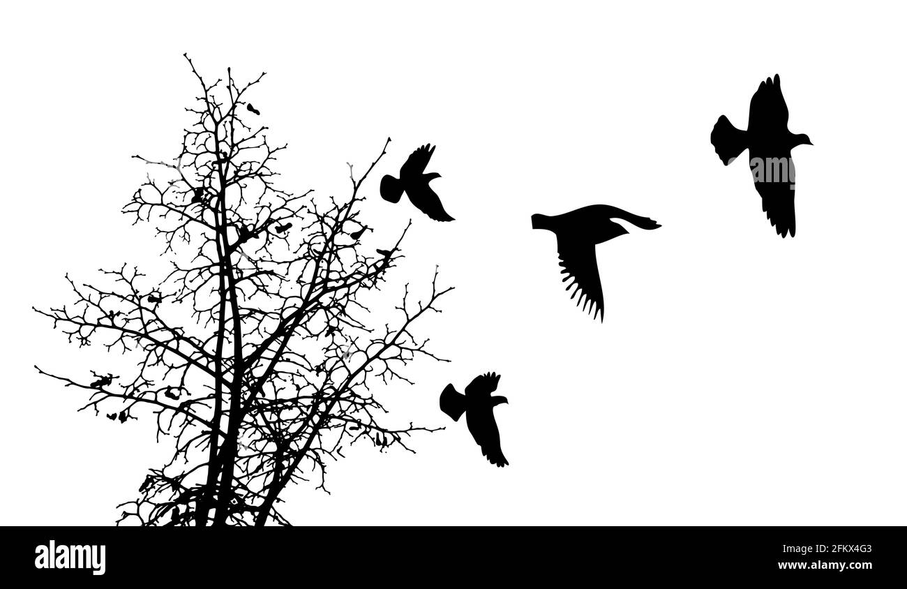 A tree with flying birds. Fall. Birds fly south. Vector illustration ...