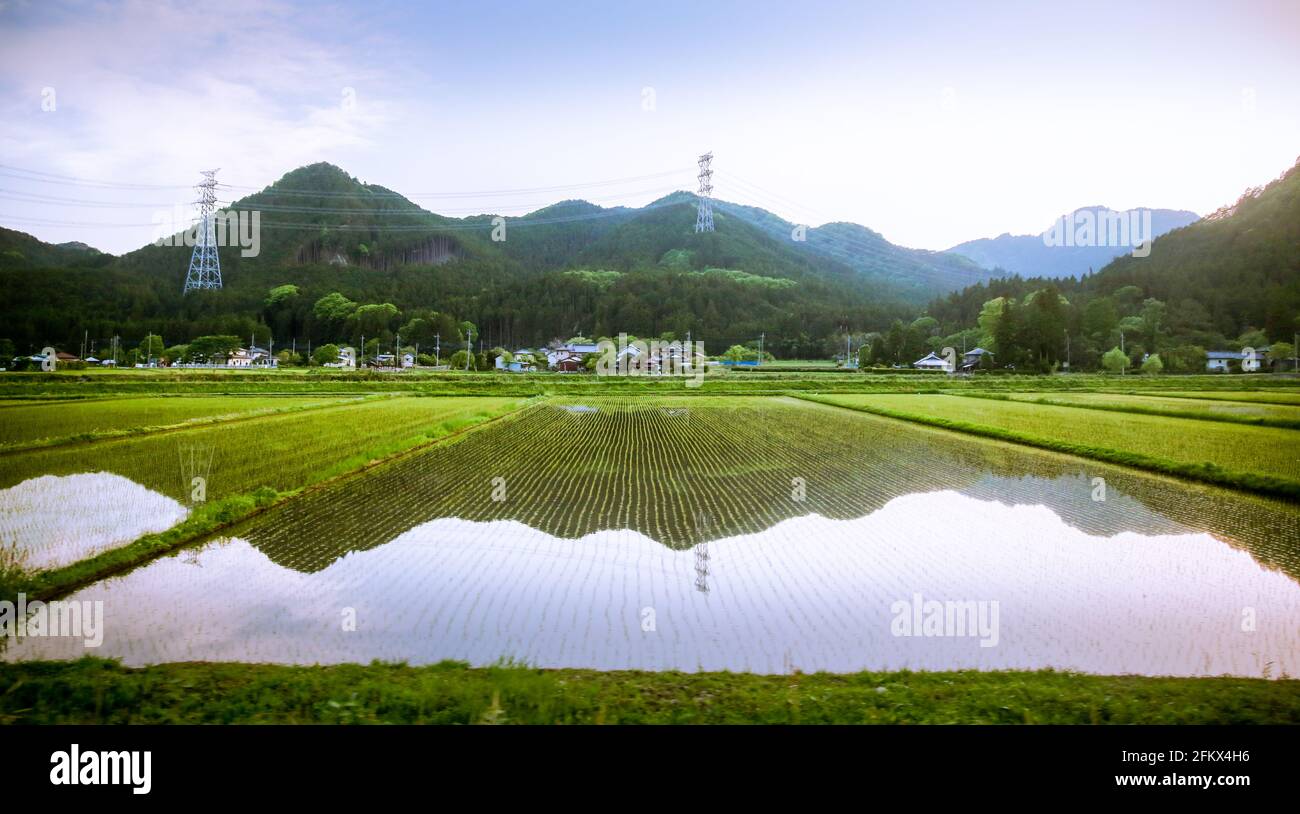 Japanese rice paddy scenery hi-res stock photography and images - Alamy